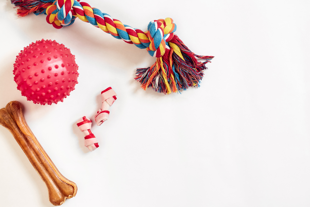 Pet Supplies In Las Vegas Woof Gang Bakery Grooming Las Vegas